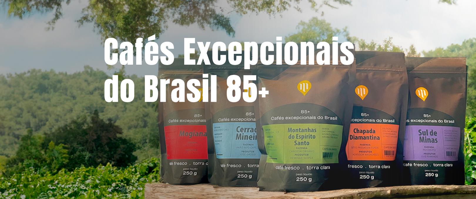 CAFÉS EXCEPCIONAIS DO BRASIL 85+ - Café do Mercado